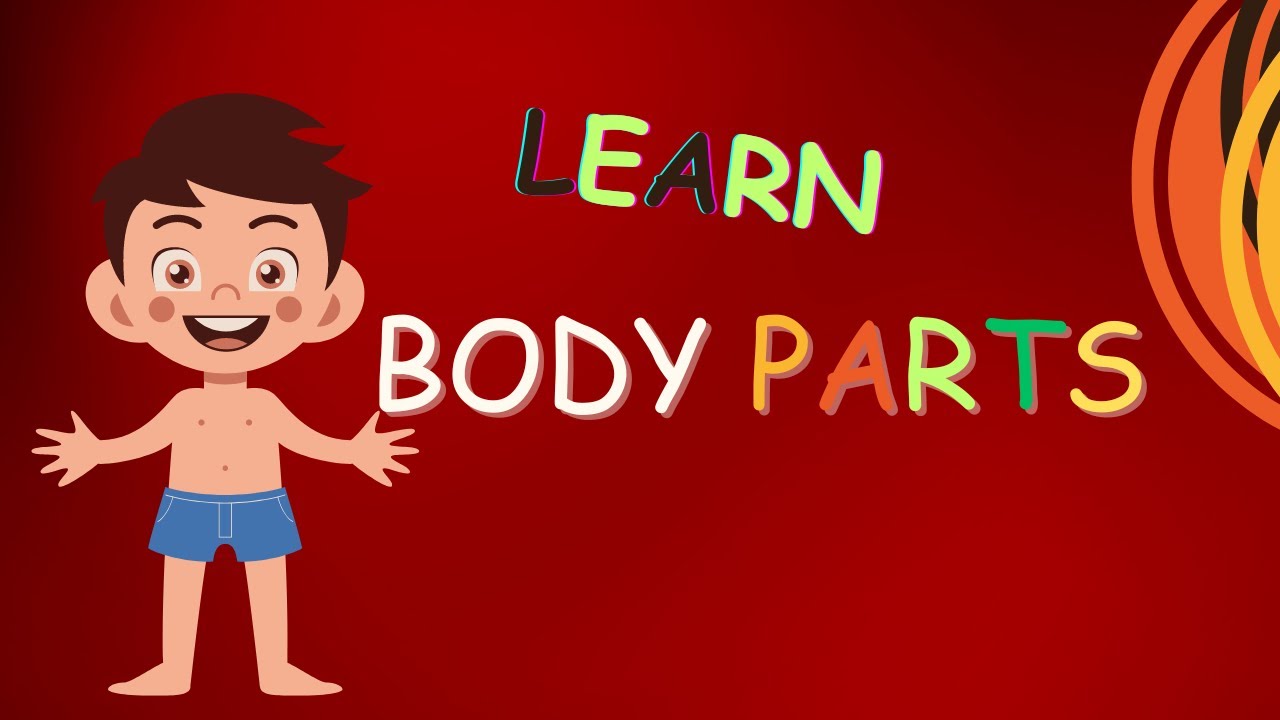 Body Parts Quiz for Kids | Learn and Guess the Body Parts | Fun ESL ...