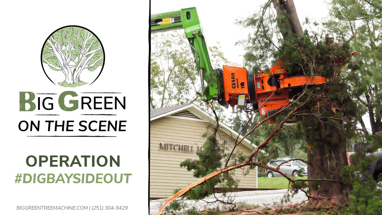 Big Green Tree Machine: Operation Dig Bayside Out - YouTube