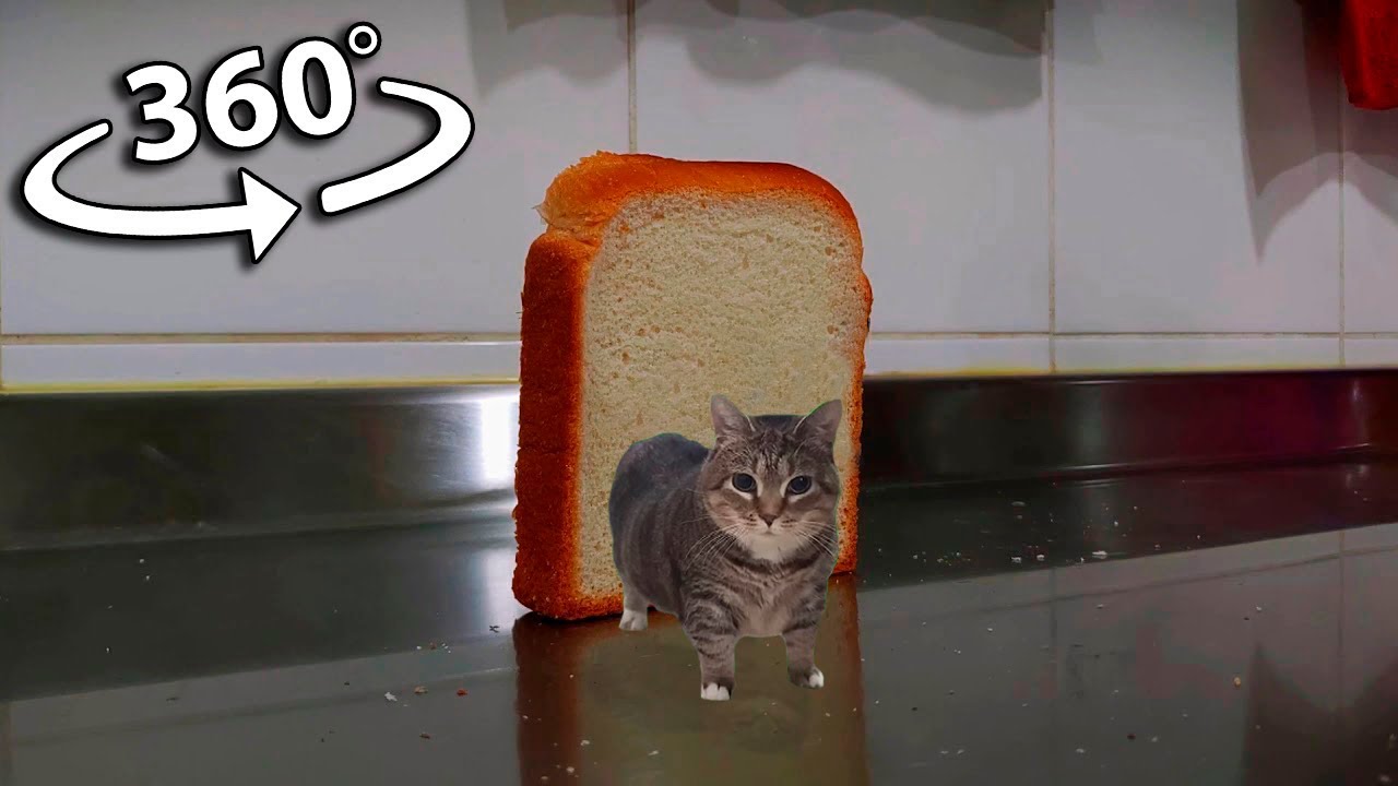 Toast falling over W&W - OIIA OIIA (Spinning Cat) | 360° VR Video - YouTube