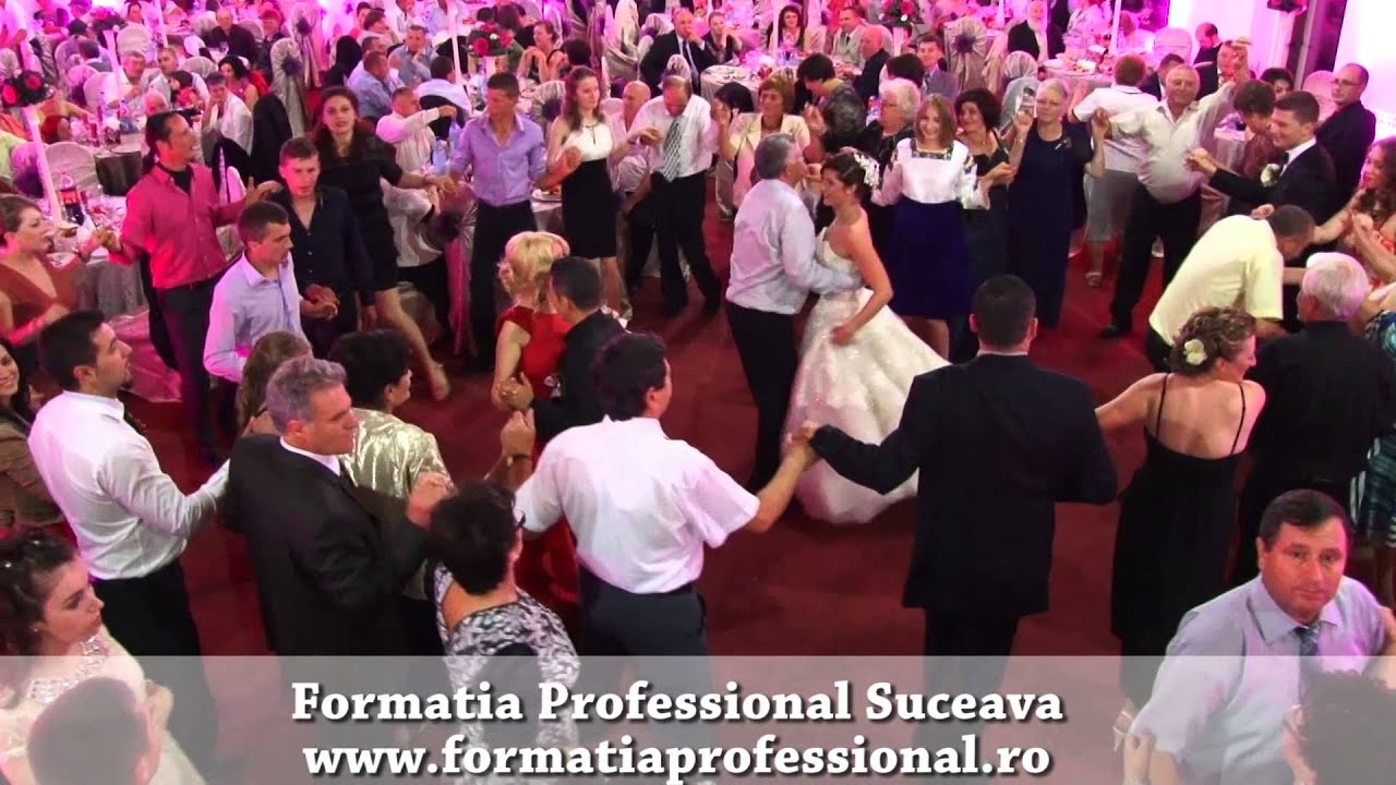 FORMATIA PROFESSIONAL LIVE 2013 - Colaj Moldova Geo Anita - YouTube