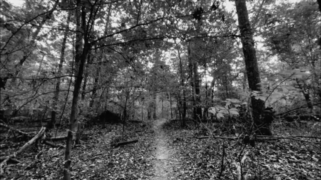 Slender Man (Original Song by Big Keggy and my friend Dustin) - YouTube