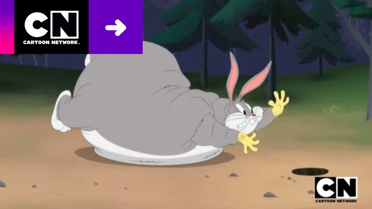 CONEJO RECHONCHO | LOONEY TUNES CARTOONS | CARTOON NETWORK - YouTube