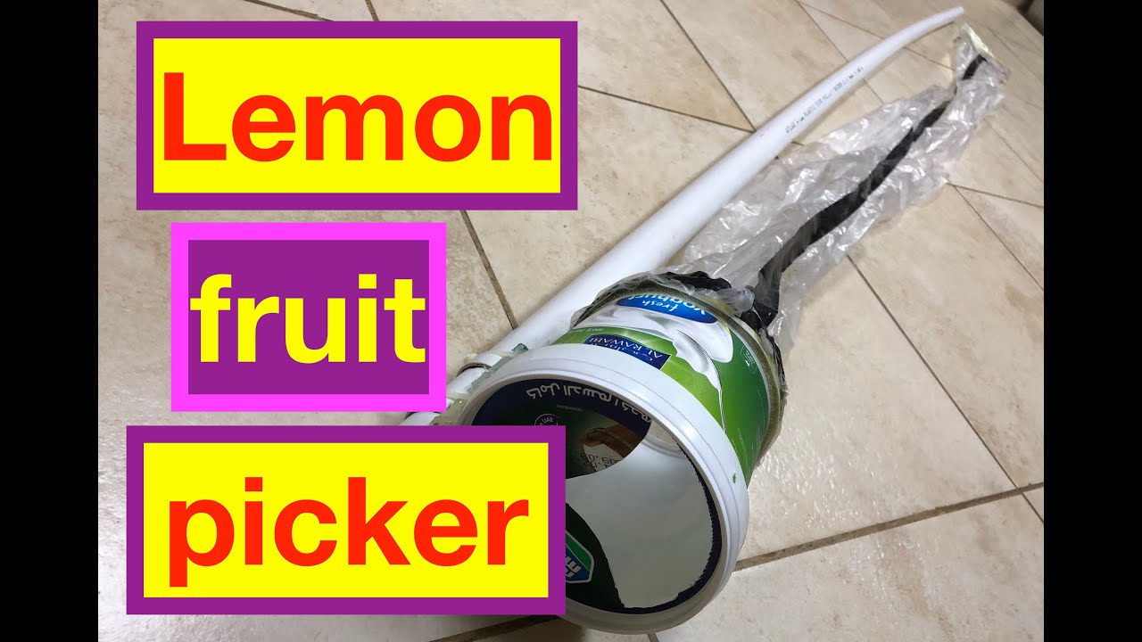lemon guided fruit picker - YouTube