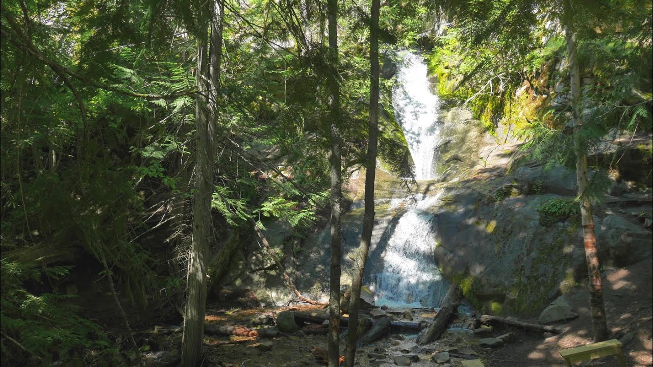 Hiking in The Shuswap, BC - Syphon Falls Trail 2022-06 - YouTube