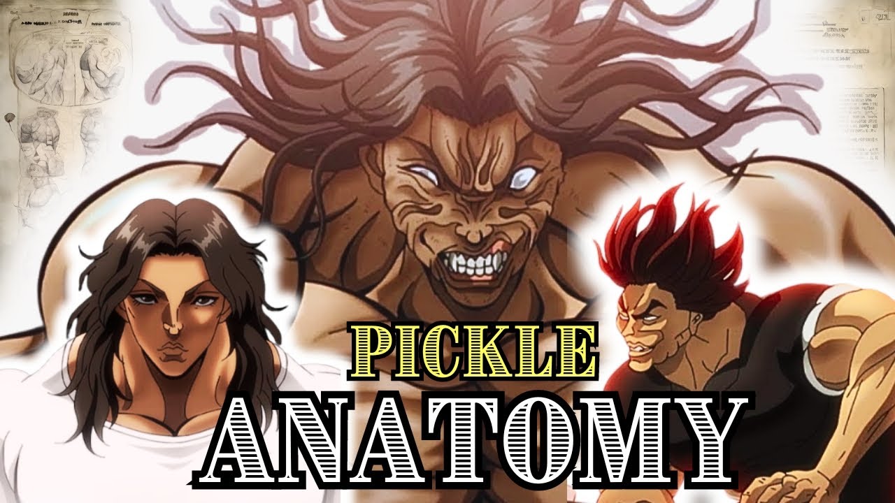 Pickle’s Anatomy Explained | Pickle Vs Yujiro Hanma | Pickle Fights ...