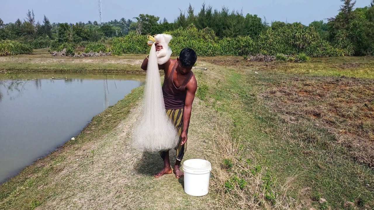 Best Net Fishing Video - Traditional Catching Fish in The River - YouTube
