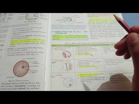 Cell-The structural and functional unit of life ICSE - YouTube