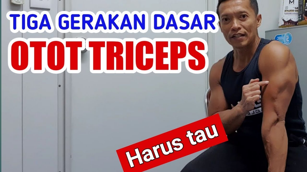 Tiga gerakan melatih otot Triceps dirumah - YouTube