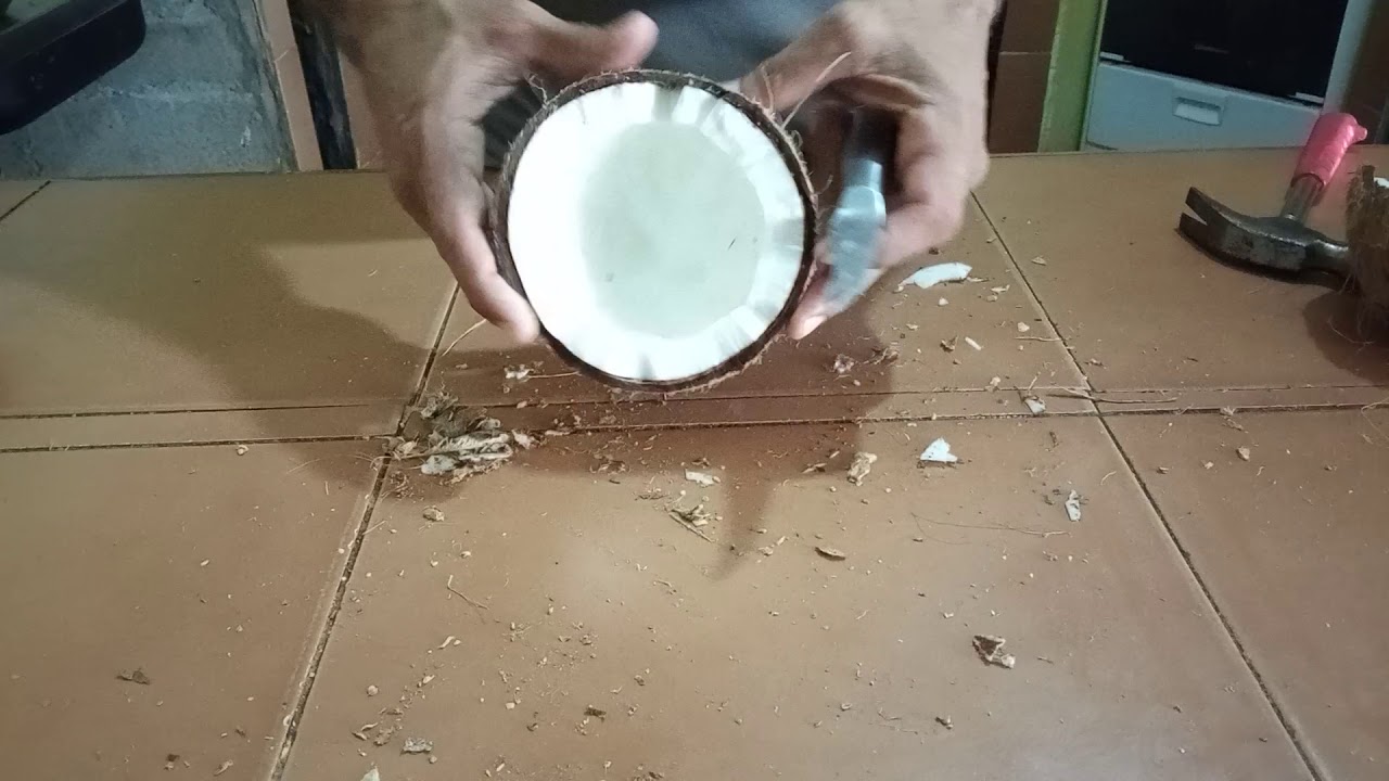 Cómo sacar un coco seco fácil y rápido - YouTube