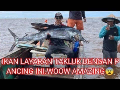 IKAN LAYARAN TAKLUK DENGAN PANCING INI.WOOW AMAZING😨 - YouTube