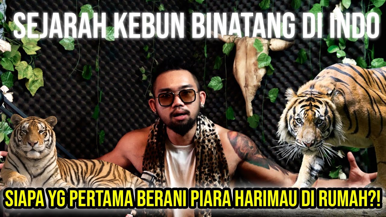 SEJARAH KEBUN BINATANG DI INDO, SIAPA YG PERTAMA BERANI PIARA HARIMAU ...