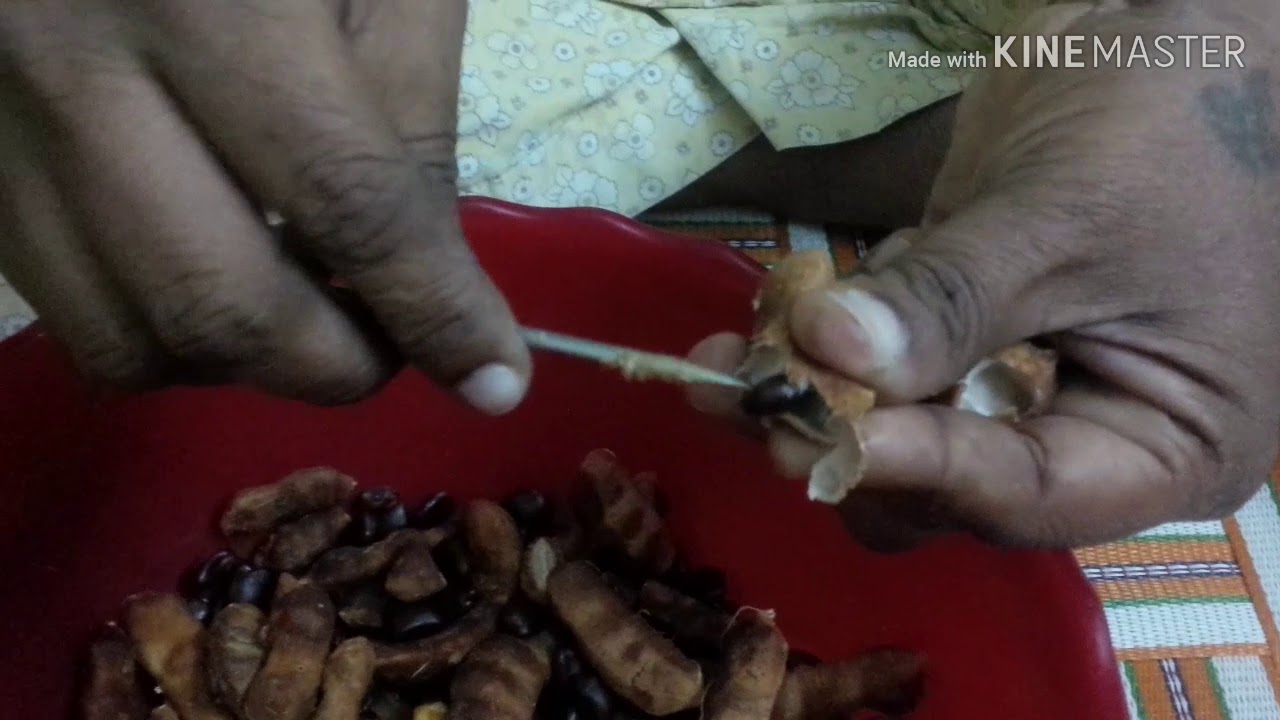 How to take seed from tamarind - YouTube