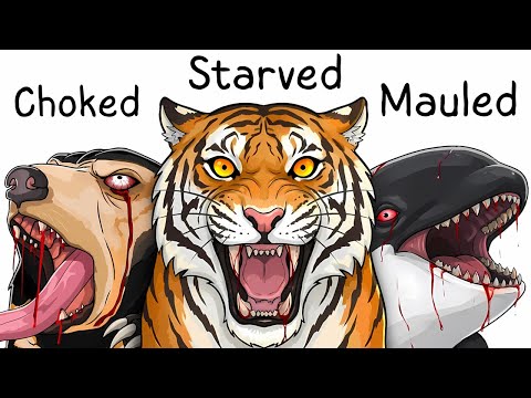 Why It Sucks to Be Born As an Apex Predator