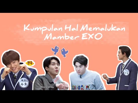 TERNYATA EXO BISA BIKIN HAL YANG MEMALUKAN