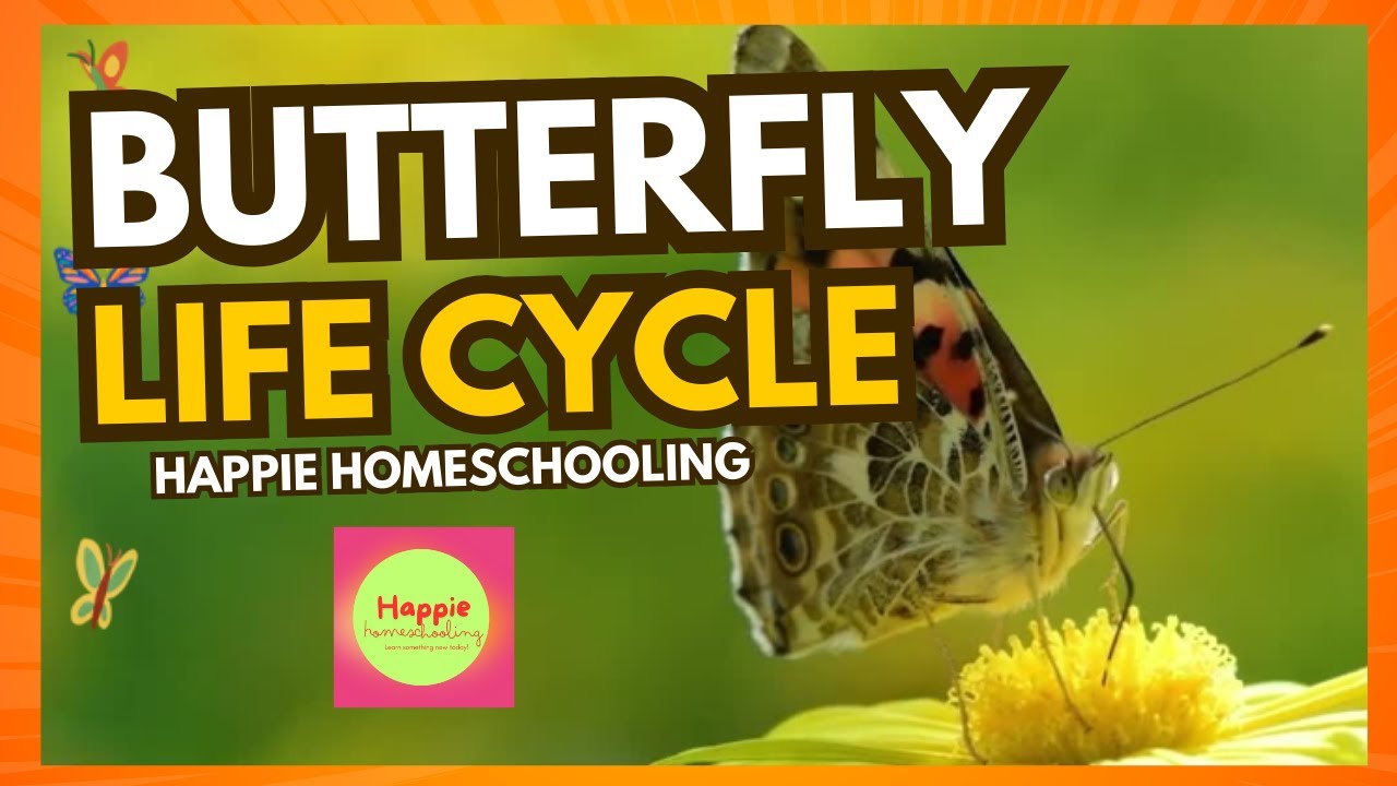 Butterfly Life Cycle | BUTTERFLIES | EDUCATIONAL VIDEOS | HAPPIE HOMESCHOOLING | learn today ...