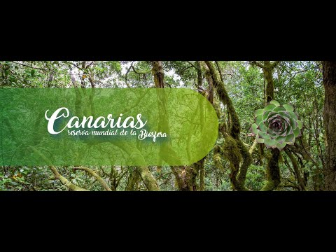Anaga: Canarias. Reserva mundial de la Biosfera
