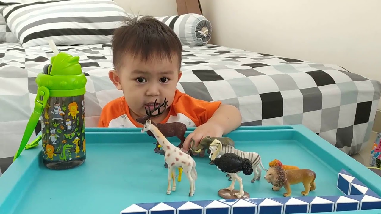 Jacob and his toys (24-06-2020) - YouTube