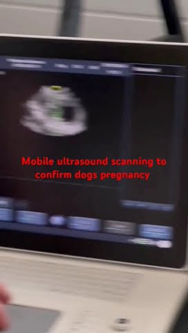 Redgranate mobile ultrasound scanning. Fife, Dundee, Perth, Kinross and ...
