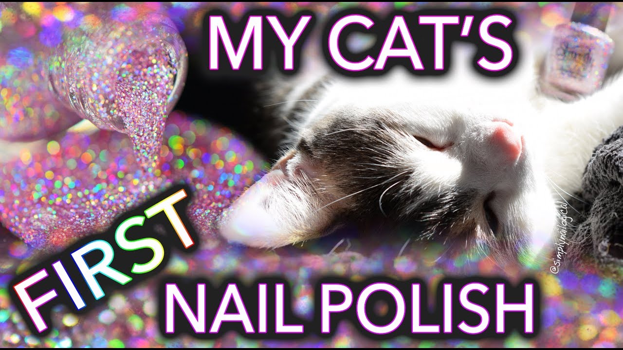 My Cat Menchie's first nail polish pr0n! - YouTube