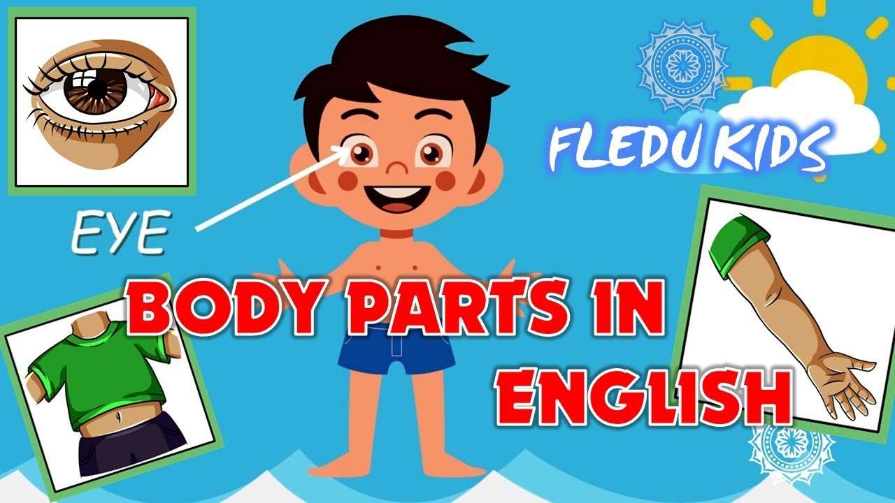 Parts of the Body. Educational Video. FLEDU KIDS - YouTube