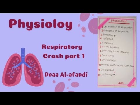 Physiology of Respiratory system ( part 1) - YouTube