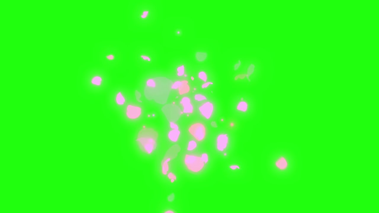 4K Magical Pink Petals Green Screen Effect Free Download - YouTube