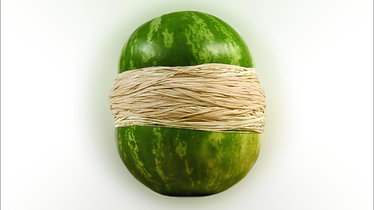 RUBBER BANDS VS WATERMELON - YouTube