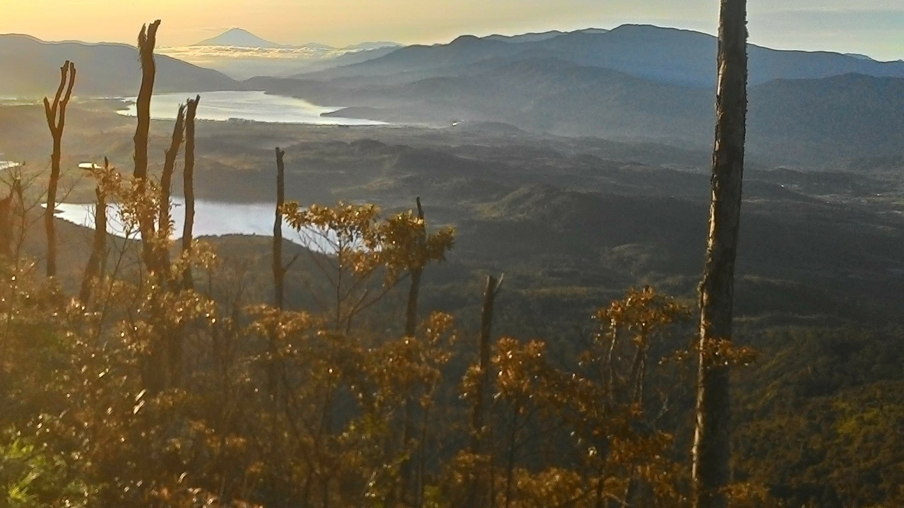 Live Streaming koncek squad - YouTube