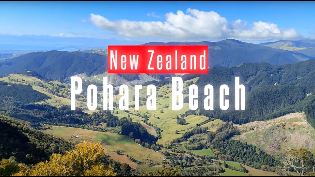 뉴질랜드 여행 Pohara beach, Waikoropupu Springs, motueka Sunday Market, Cape ...