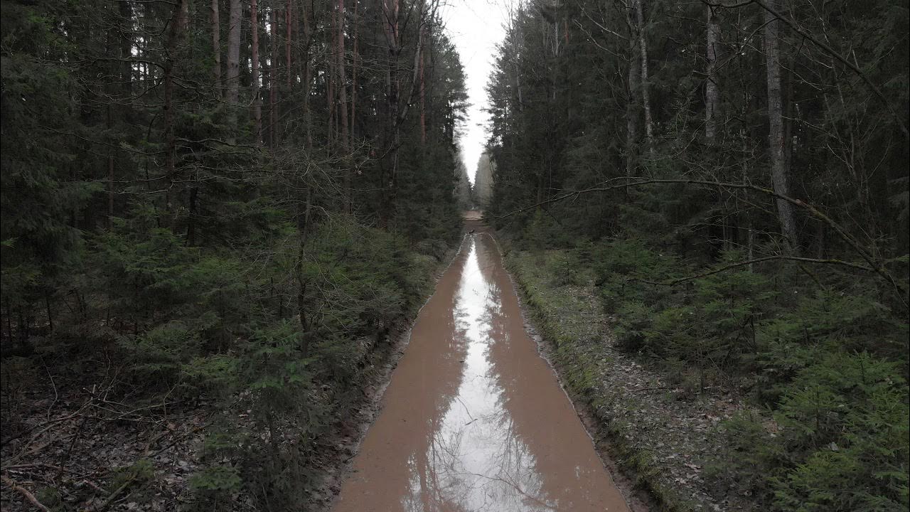 Лужа - YouTube