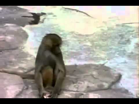 HER SABAH BÜTÜN KIZLARIN BAŞINA GELEN BİR DURUM:))))