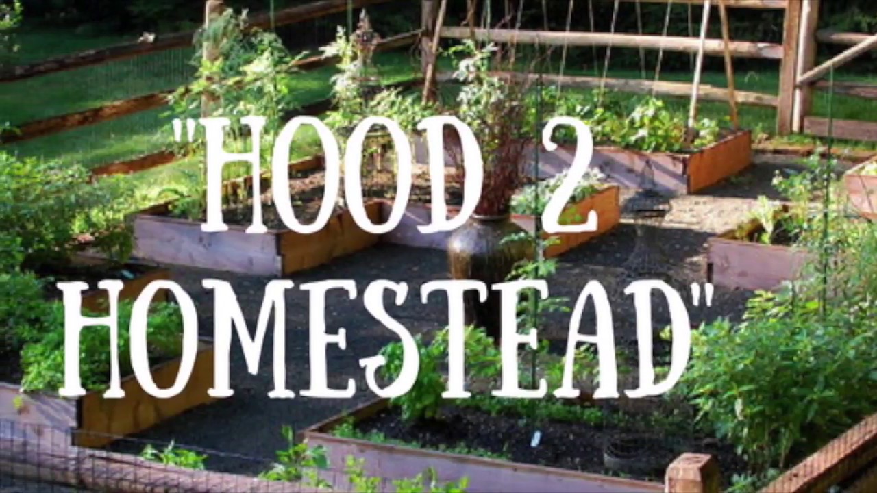 Hood 2 Homestead (Planting Strawberry) - YouTube