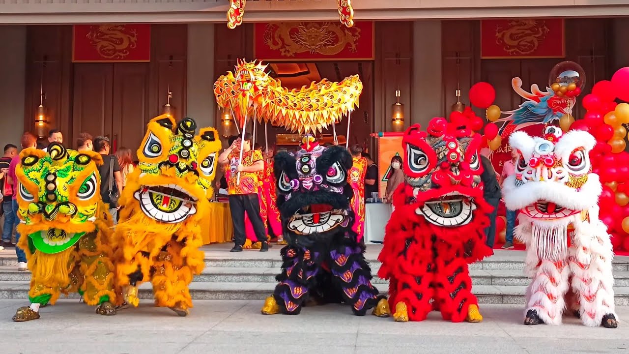 5 Colorful Lion Dance with Dragon Dance - YouTube