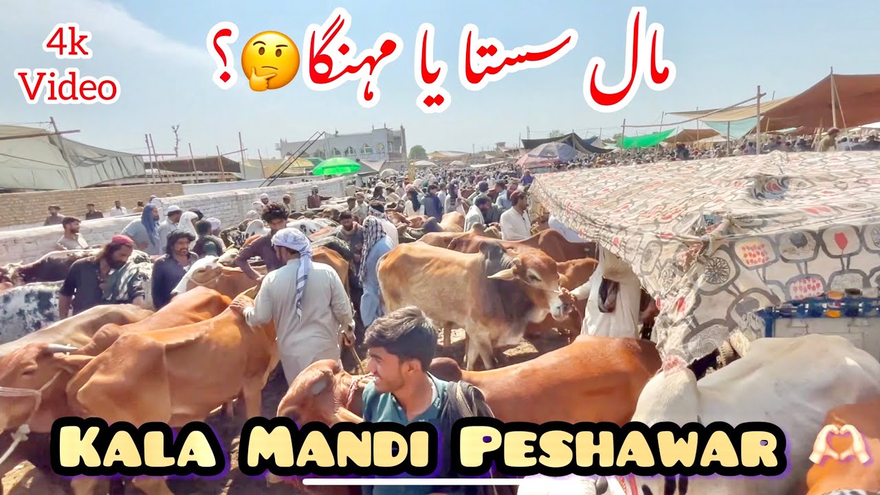 Kala Mandi Latest Update||Mall Sasta ye Mehnga?🤔||3/6/2023 - YouTube