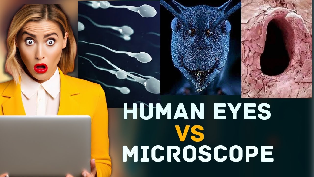 Human eyes vs microscope | microscopic view of top amazing things # ...