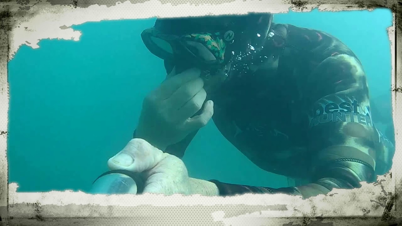 Freediving quarry Mašovice CZ 2018""catfish,,catfish,,carp,,carp ...