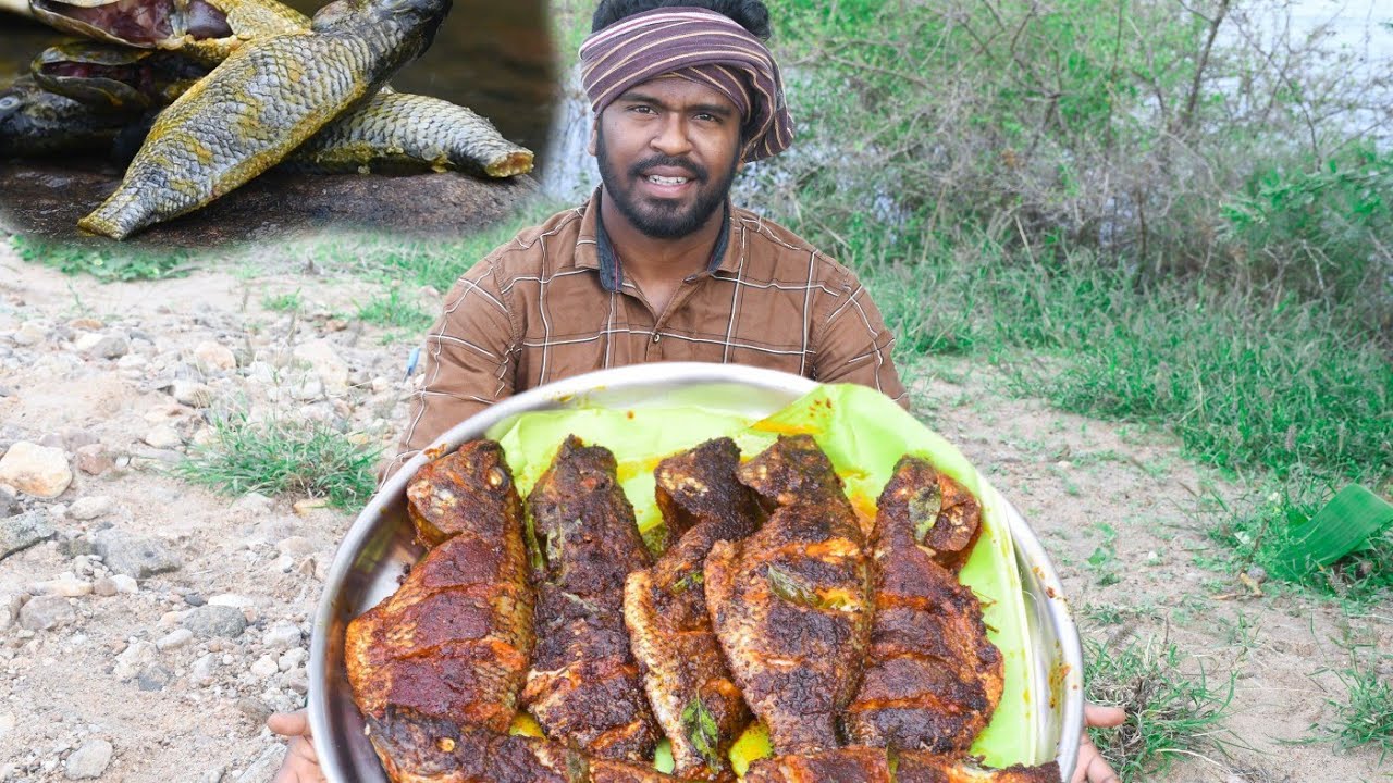 Kal Meen | Fishing and Cooking Jalebi Fish | Village Style Fish Fry ...