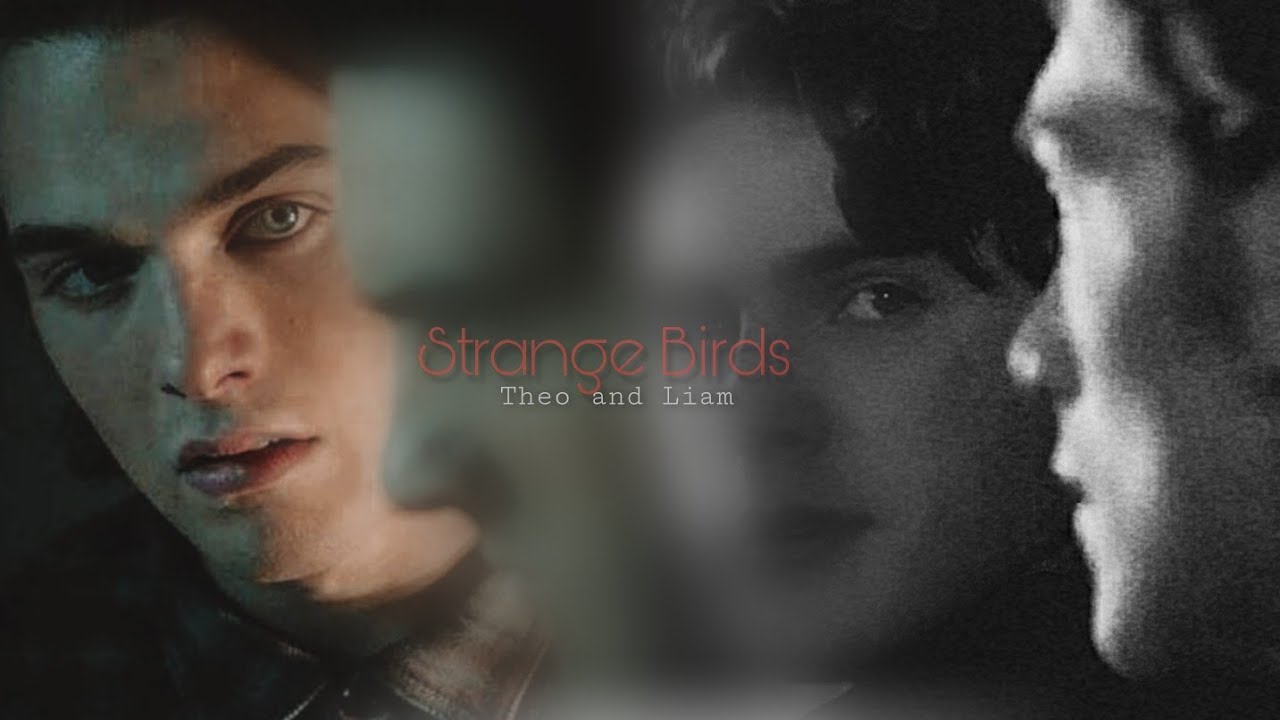 Theo & Liam | Strange Birds - YouTube