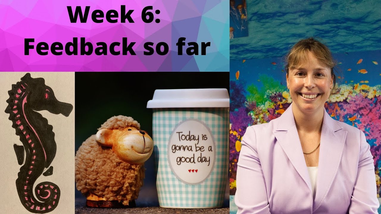 Feedback Week 6 - YouTube