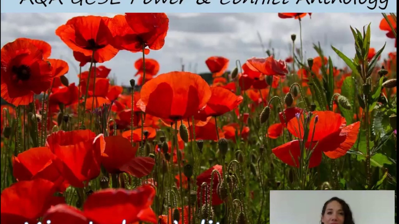 'Poppies' by Jane Weir Lecture - Part 1 (Subject, context and themes ...