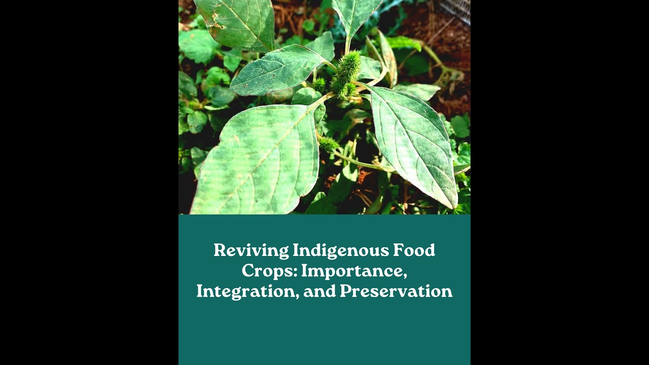 Reviving indigenous food crops: importance, integration and ...