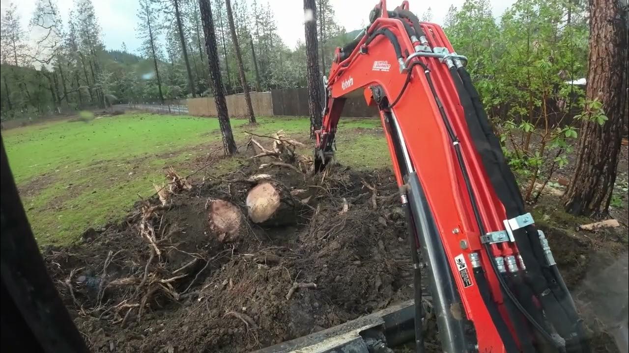 Storm stumps with High Country Tree Service Kubota KX-040 - YouTube
