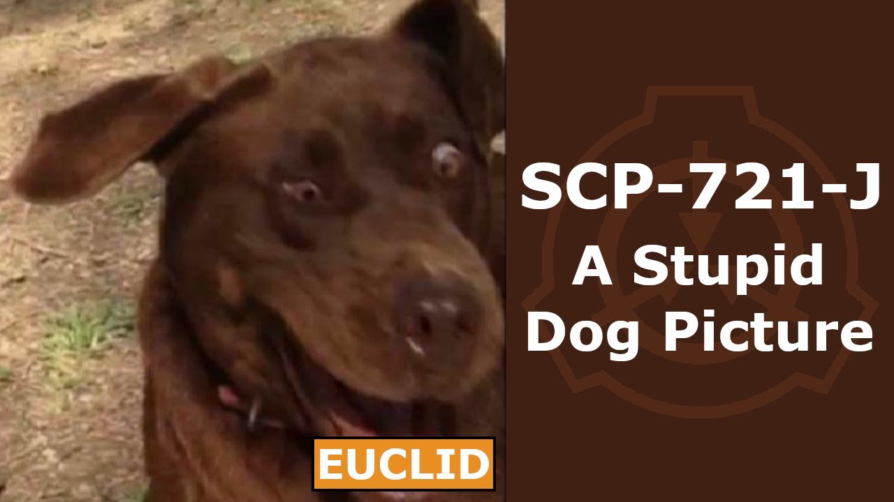 SCP-721-J | A Stupid Dog Picture - YouTube