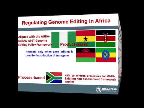 The African Union Mode - YouTube