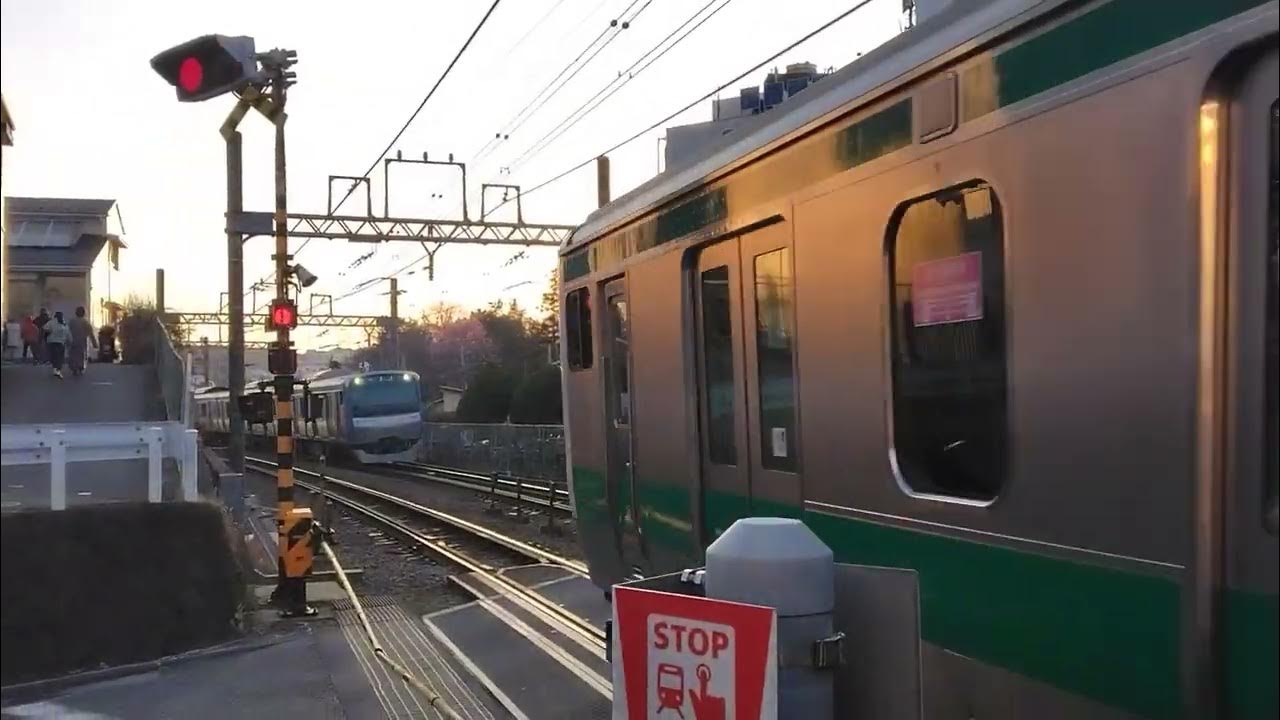 埼京線E233系7000番台ハエ106編成各停海老名行&相鉄11000系11005編成回送 - YouTube