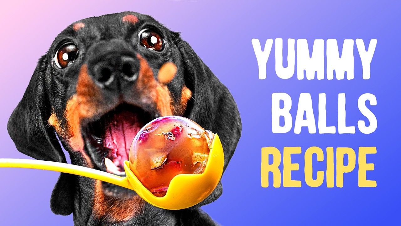 Tennis Balls Your Dog Can Eat! - YouTube