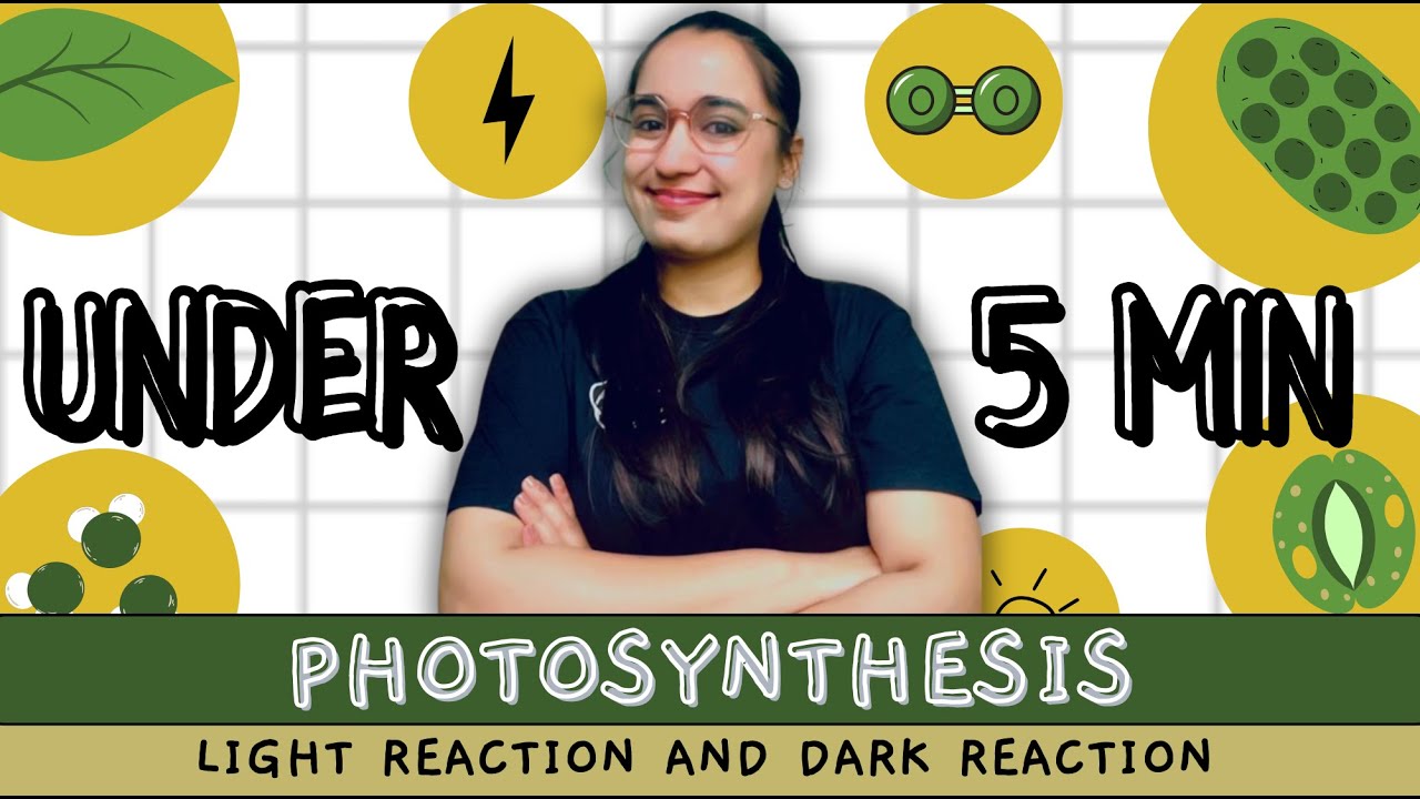 Photosynthesis - Light & Dark Reactions | Class 10 | Boards | Under 5 ...