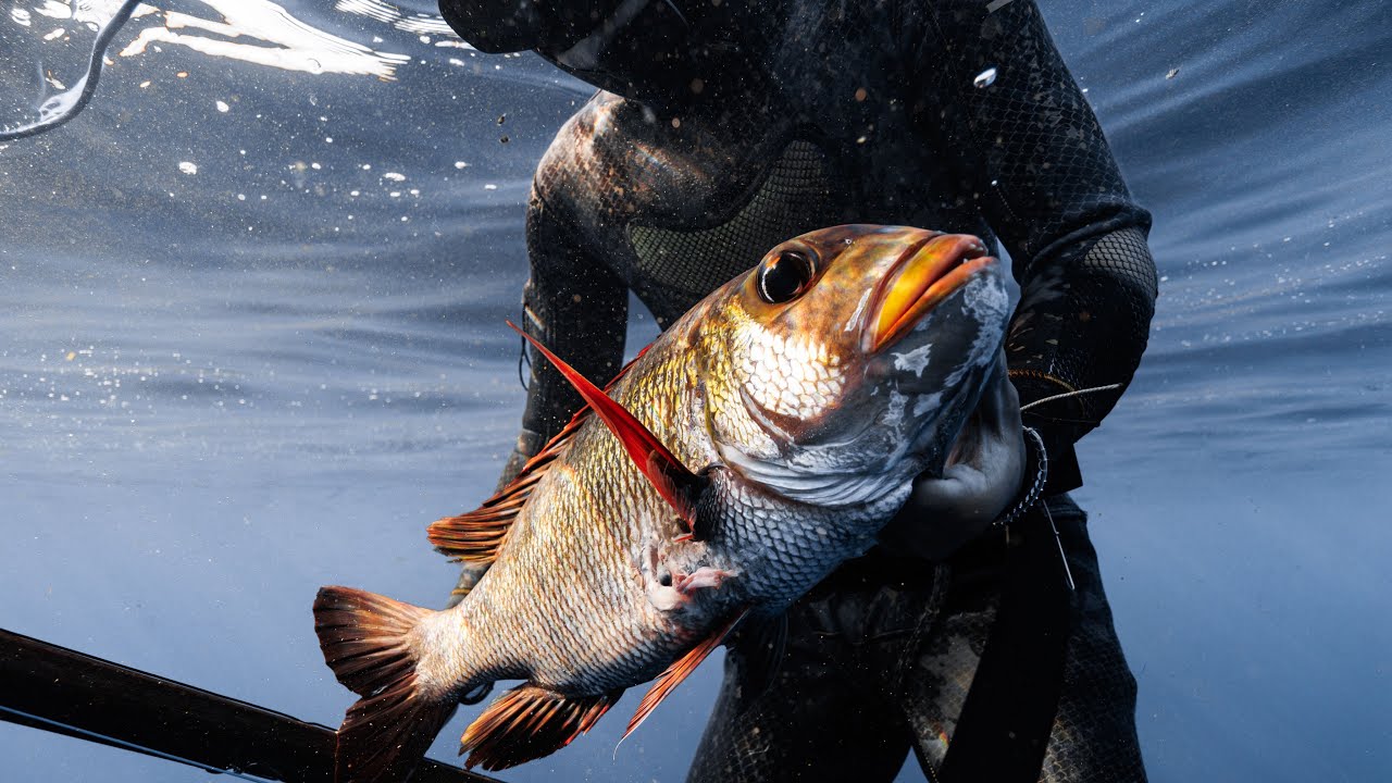 How To Shoot Mus! | Tips And Tricks For Shooting The Smartest Fish On ...