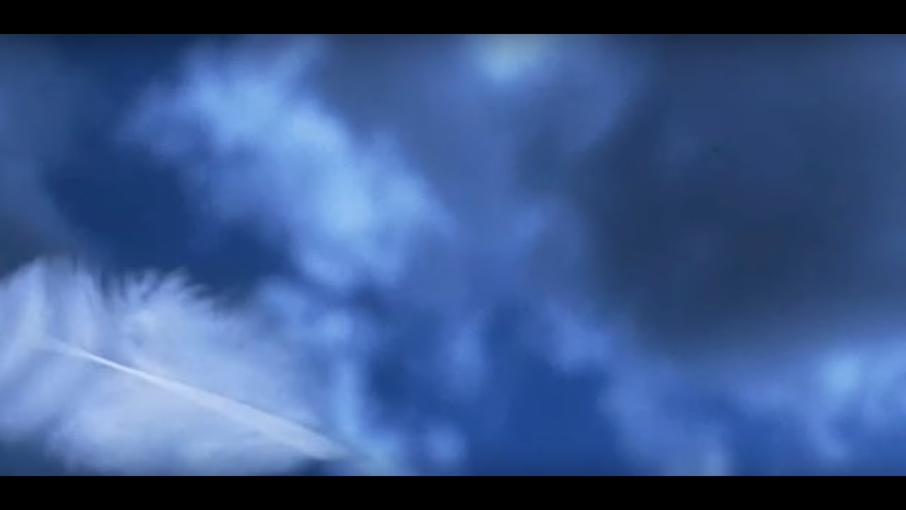 Forrest Gump Feather ending - YouTube