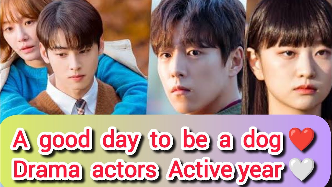 A good day to be a dog 🐕 Korean drama actors Active year 🧐 # ...